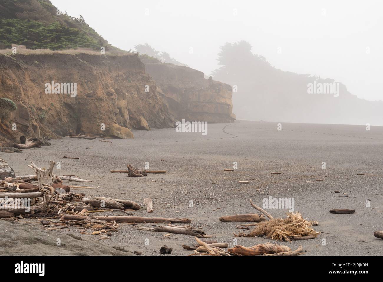 foggy coastal cliffs and beach of Gualala Point Regional Park ...