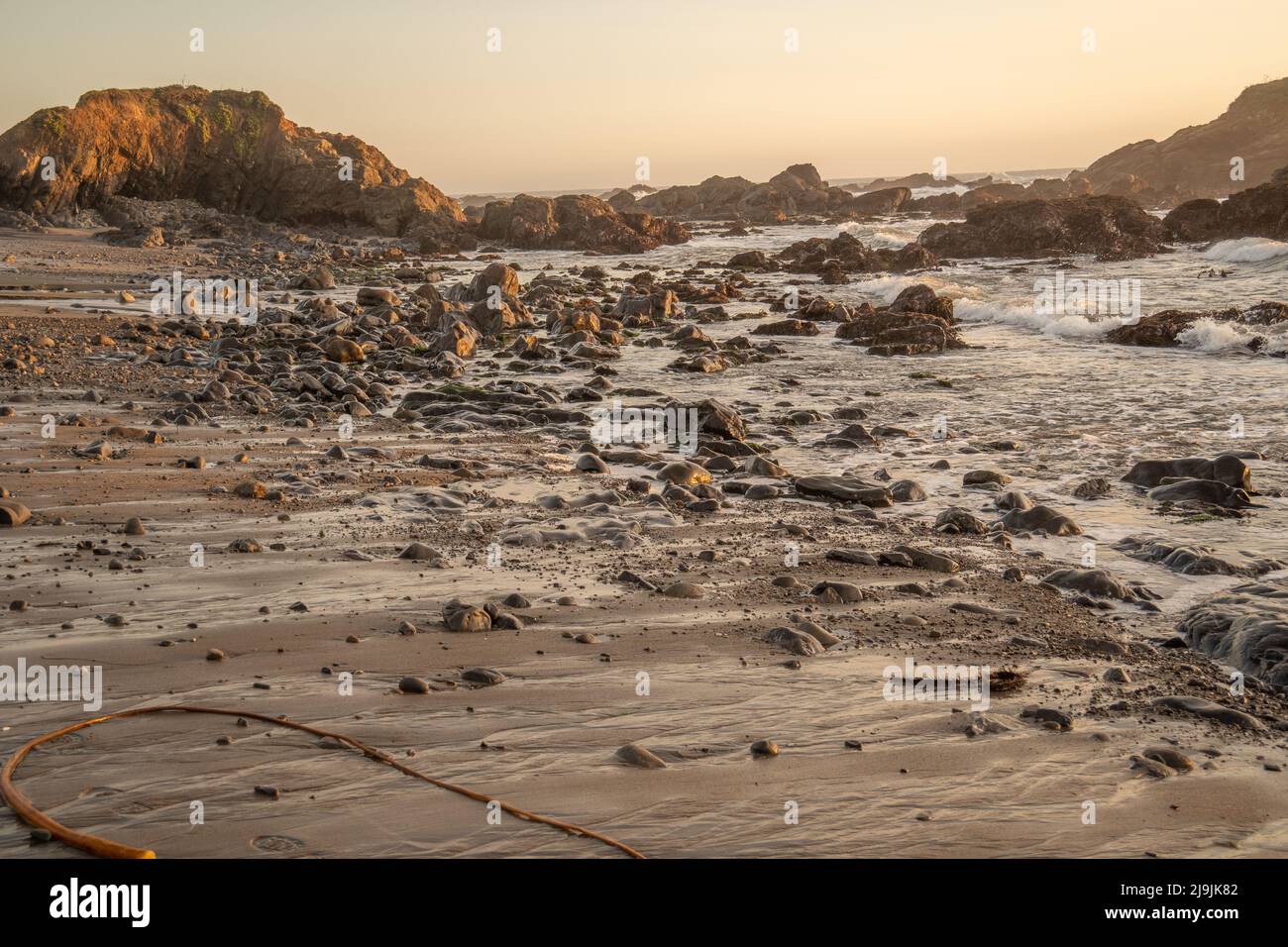 warm sunset over receding tide of the pacific ocean Stock Photo - Alamy