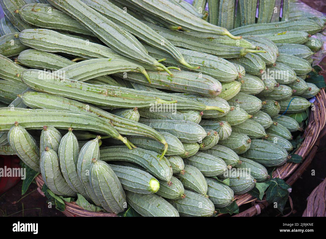 Luffa gourd hi-res stock photography and images - Alamy