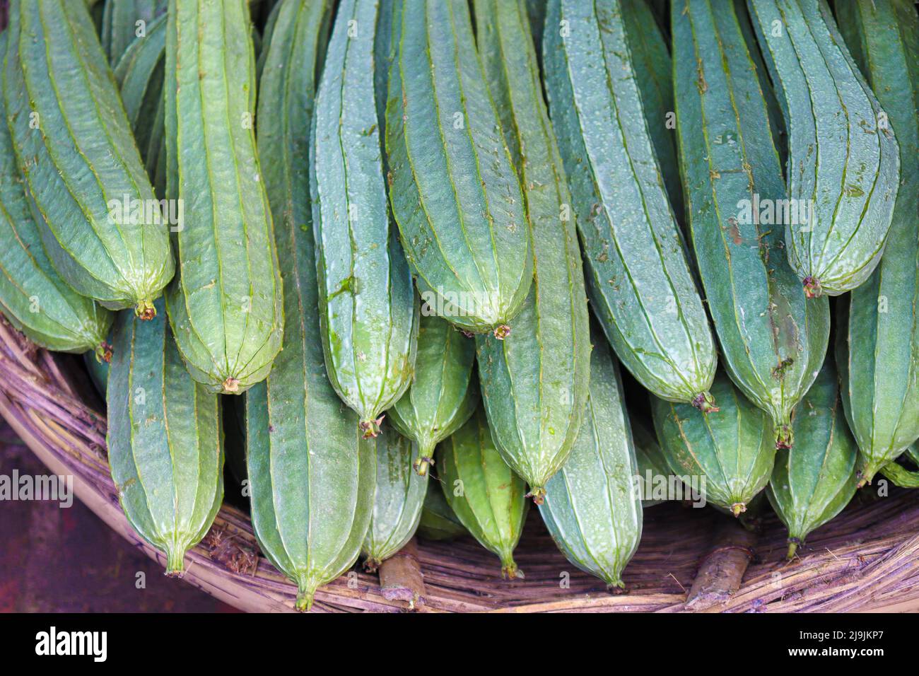 fresh and healthy Snake Gourd stock on shop Stock Photo - Alamy