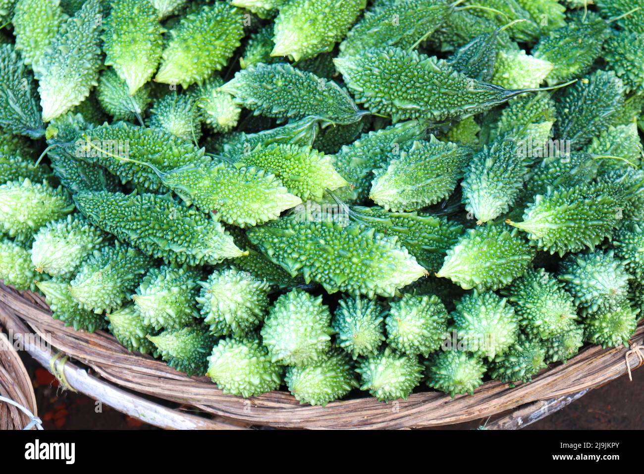 Raw bitter melon hi-res stock photography and images - Alamy