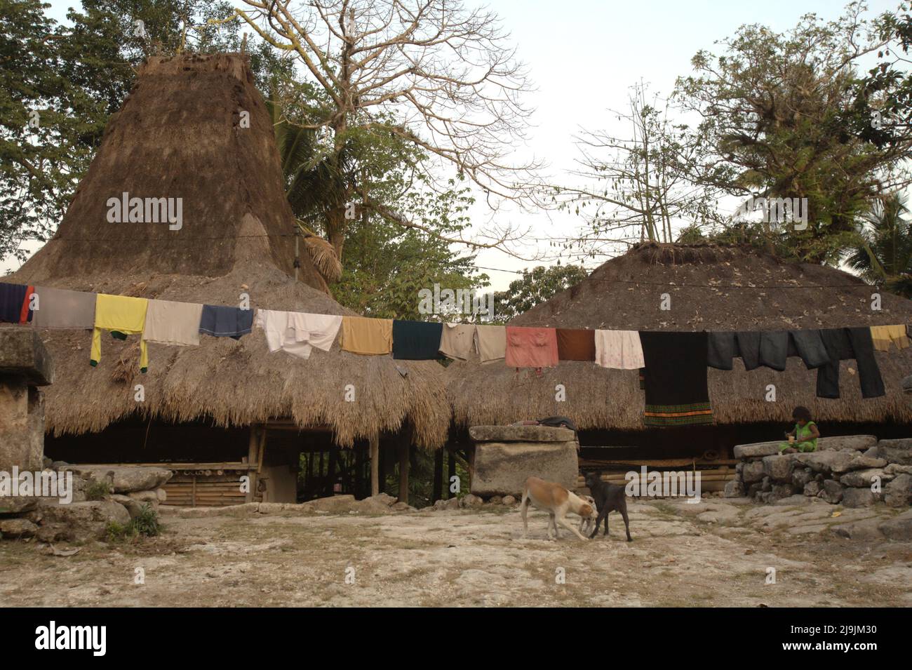 A laundry line in front of traditional houses in traditional village of ...