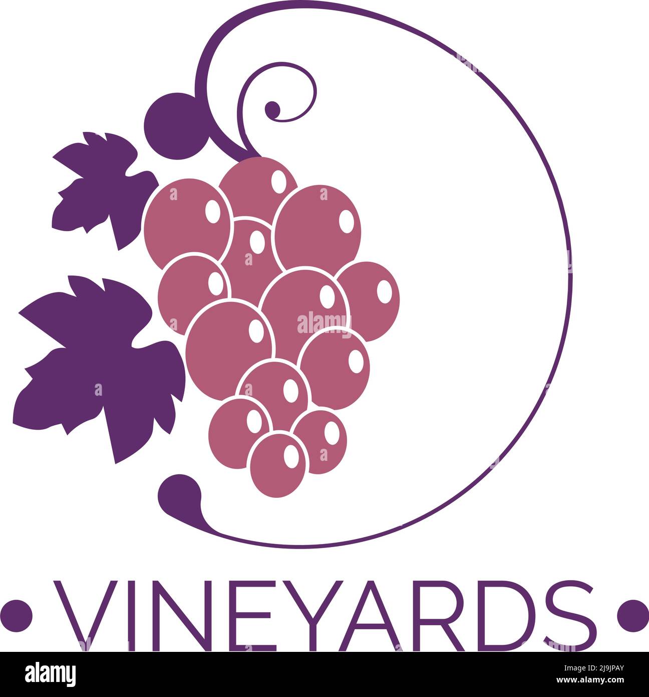 Grapes in vineyards wine Stock Vector Images - Alamy