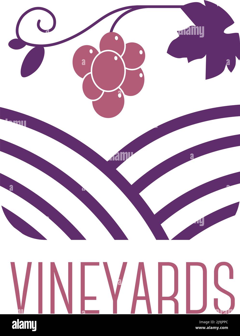 Vineyards winemaking and production of wine vector Stock Vector Image ...
