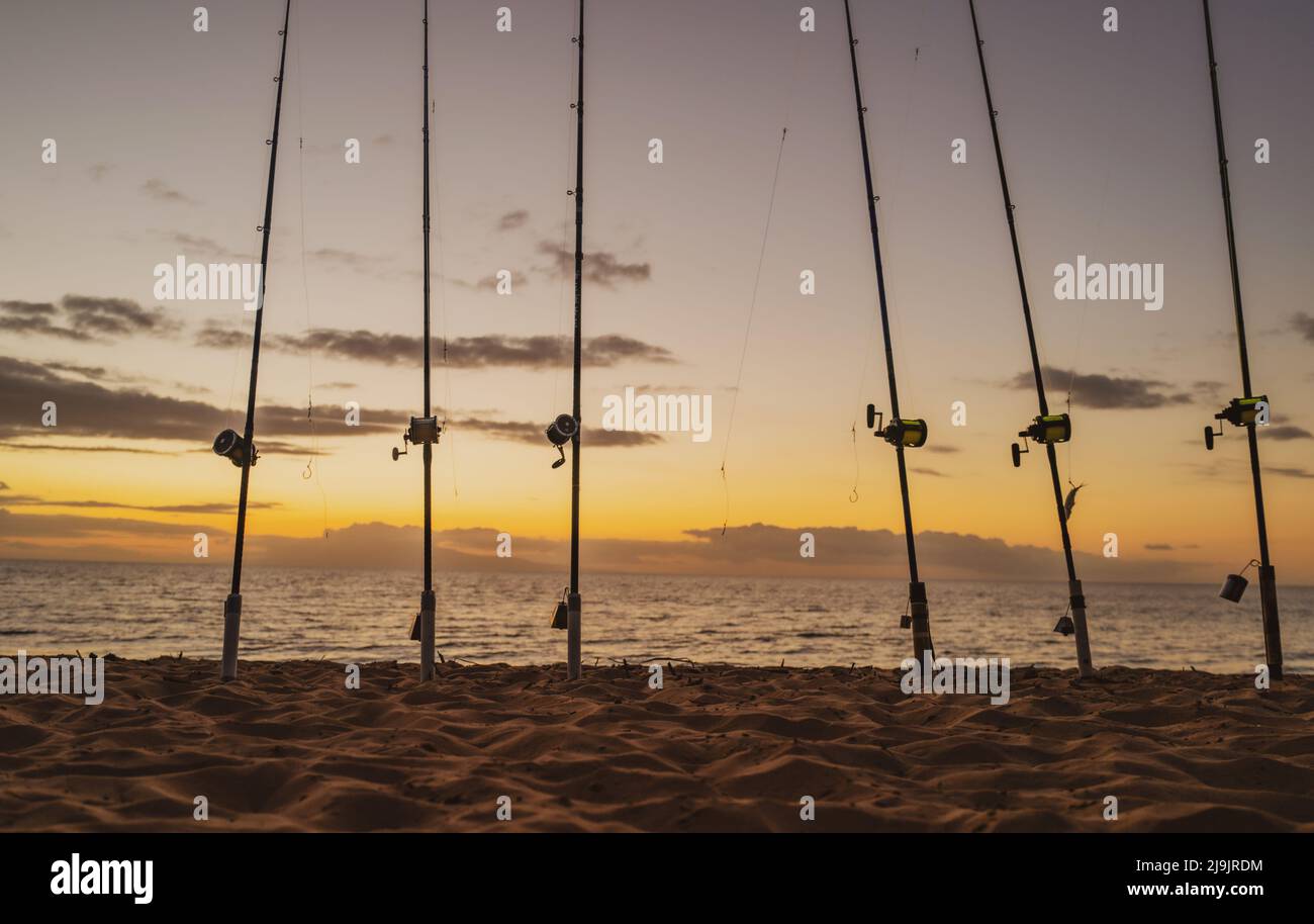 Catch fich hi-res stock photography and images - Alamy