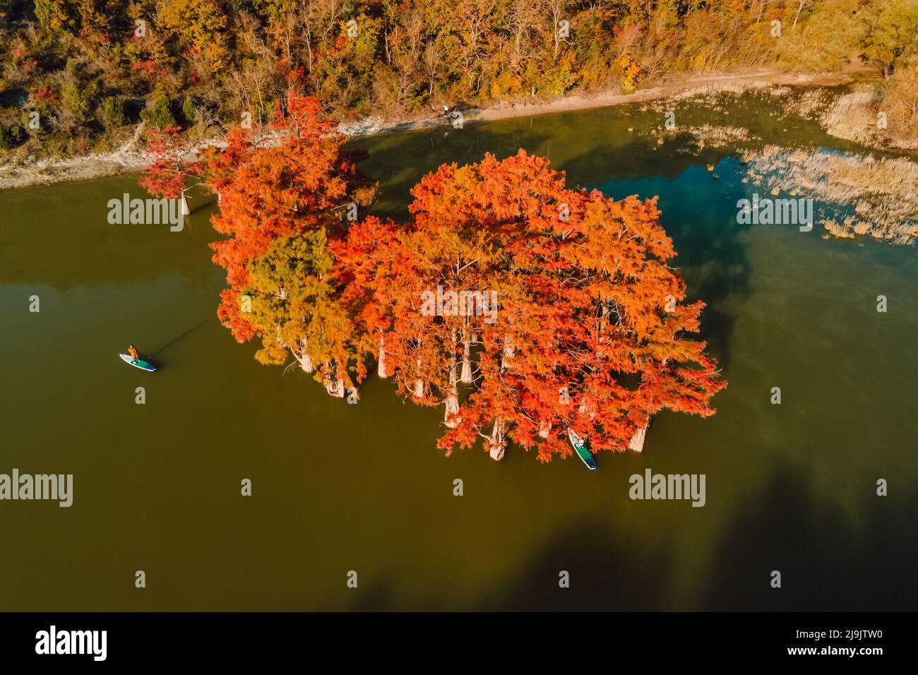 Drone view with woman on stand up paddle board at the lake with trees ...