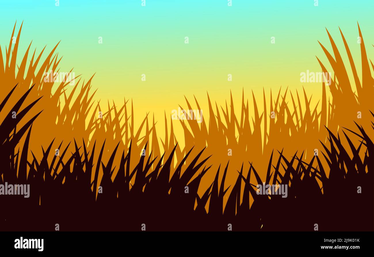 Grass. Nature rural landscape. Autumn view. Pasture overgrown ...