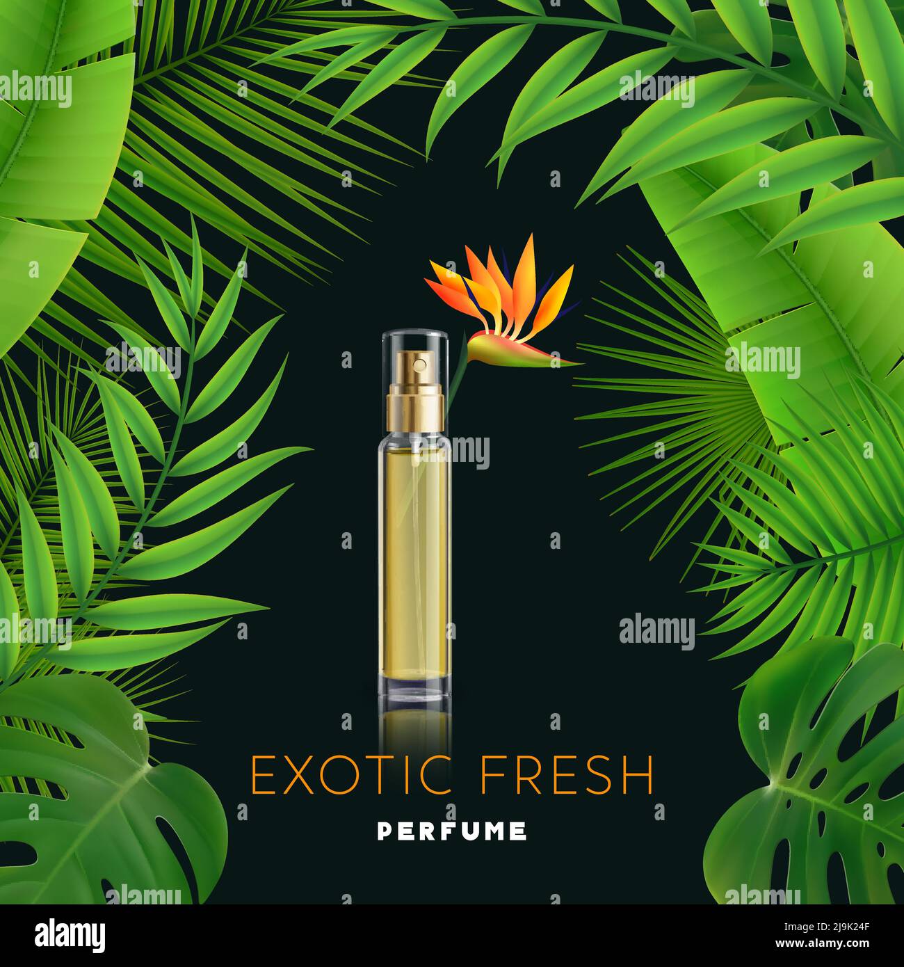 Fresh exotic perfume bottle on dark background with big green leaves ...