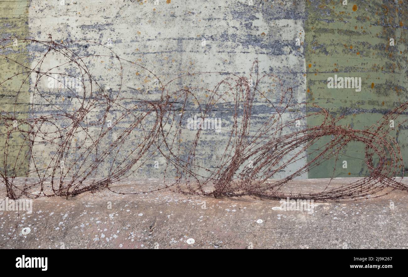 An old bunker from WW2, used by the dutch and the germans Stock Photo ...