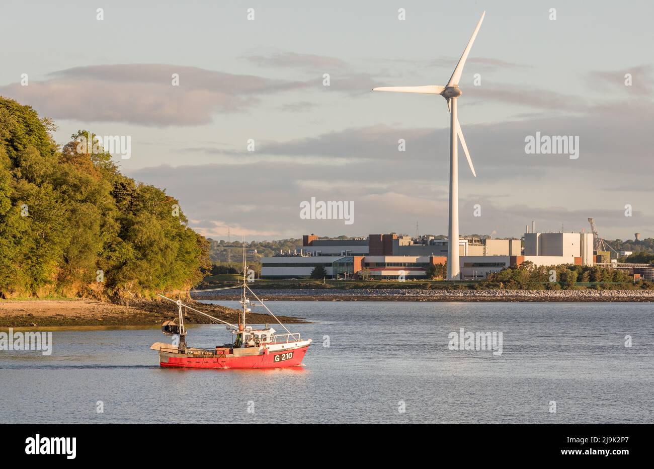 Depuy synthes hi-res stock photography and images - Alamy