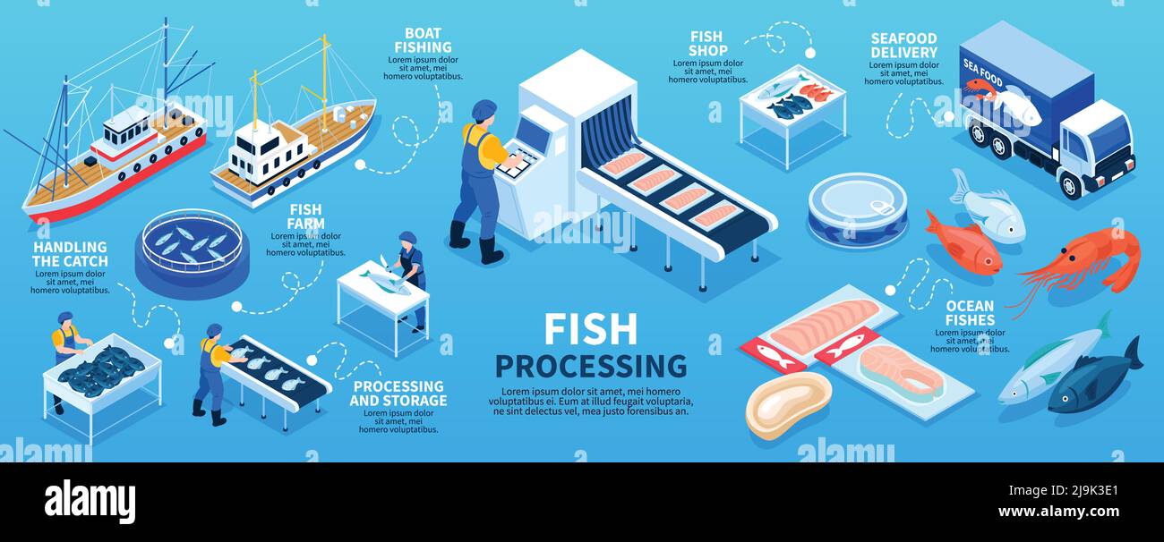 Fish processing isometric infographics scheme from boat fishing and ...