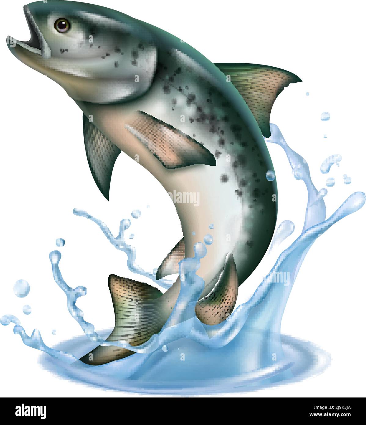 Fish jumping out of water with splashes realistic concept isolated on ...