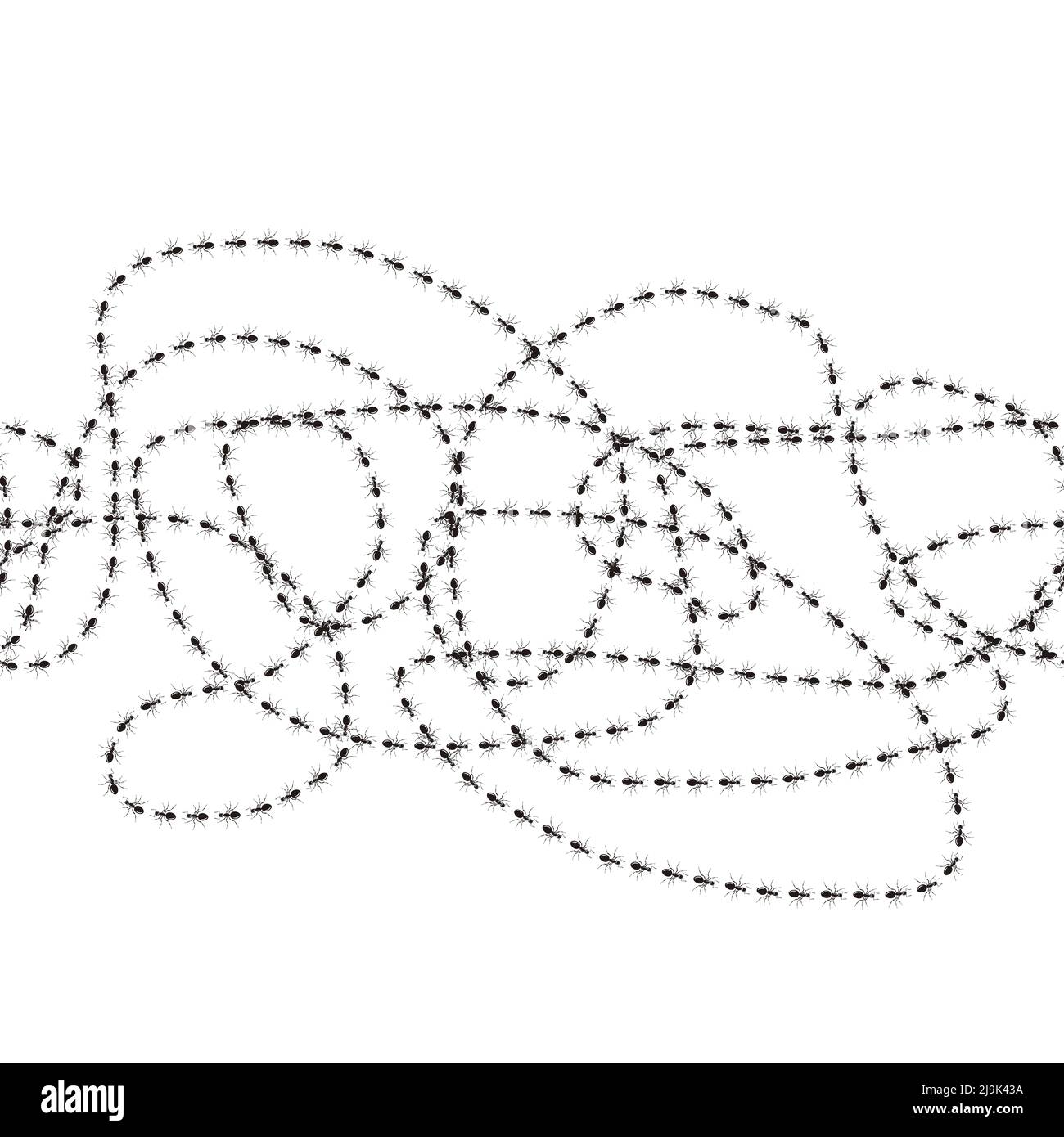 Colony ants. Seamless pattern insects ant on white. Workers ants ...