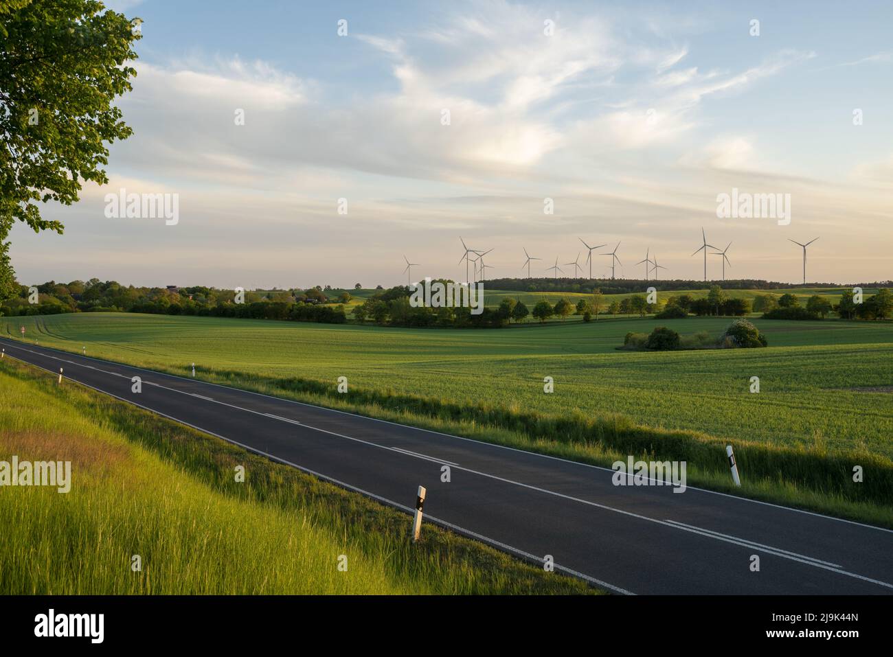 Field in northern germany hi-res stock photography and images - Alamy