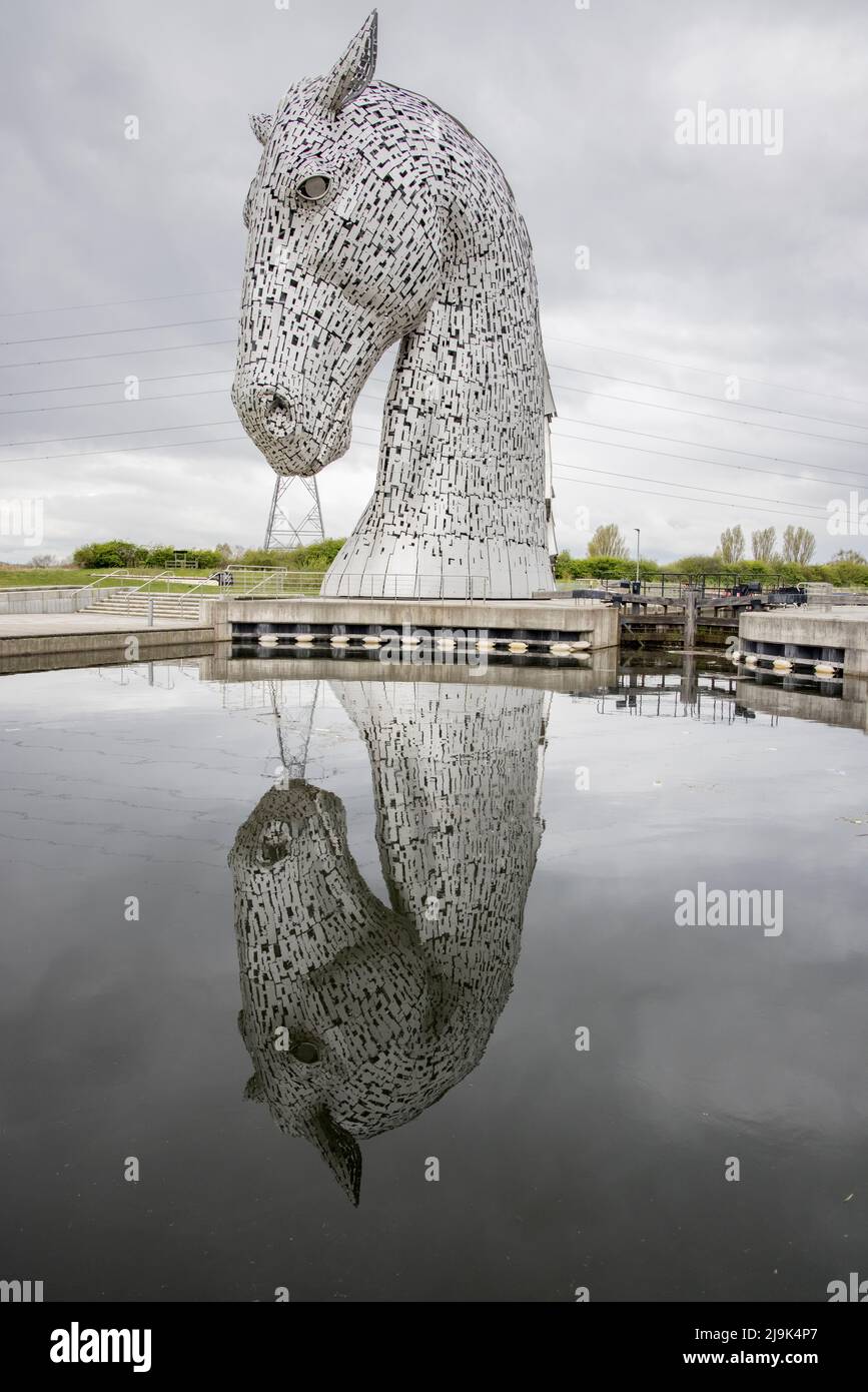 the kelpies sculptures at the helix in falkirk scotland Stock Photo - Alamy
