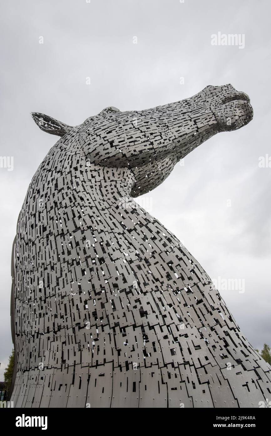 the kelpies sculptures at the helix in falkirk scotland Stock Photo - Alamy