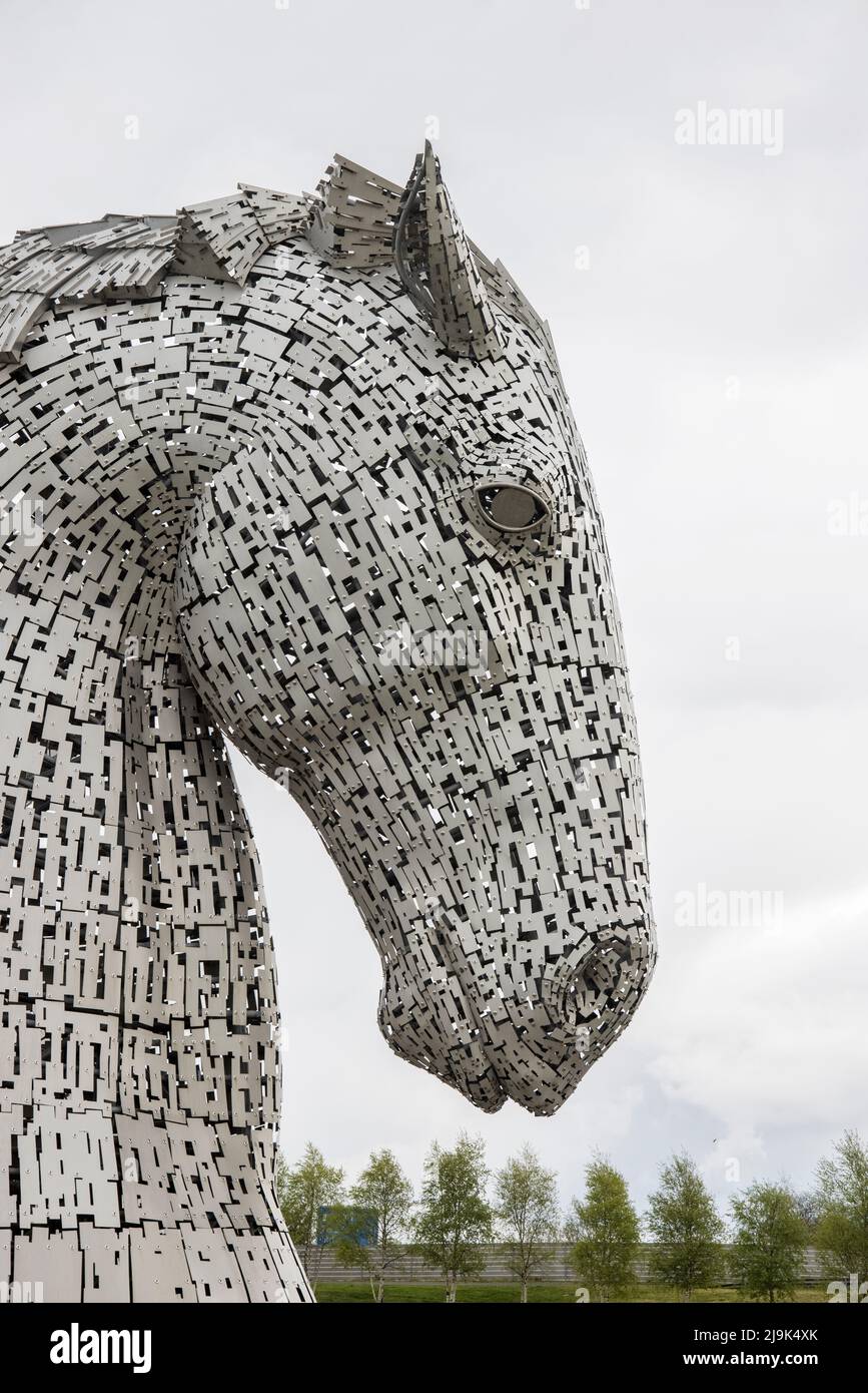 the kelpies sculptures at the helix in falkirk scotland Stock Photo - Alamy