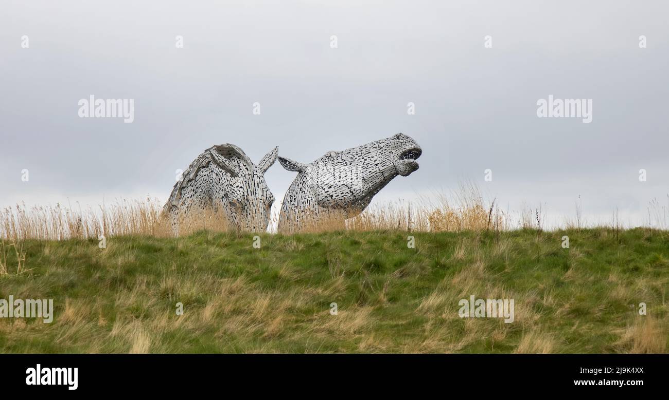 the kelpies sculptures at the helix in falkirk scotland Stock Photo - Alamy