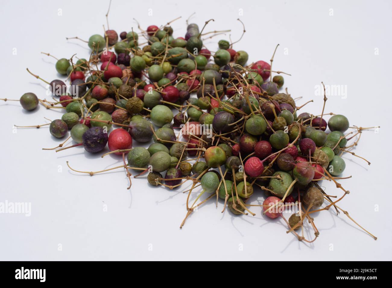 Ker, mostly grown in Gujarat, Rajasthan, in the month of March and ...