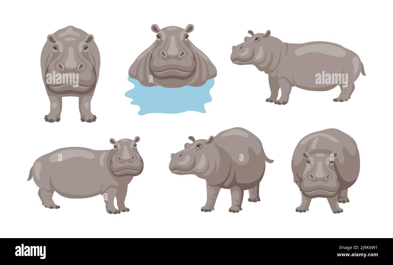 Hippo doing different activities cartoon illustration set. African ...