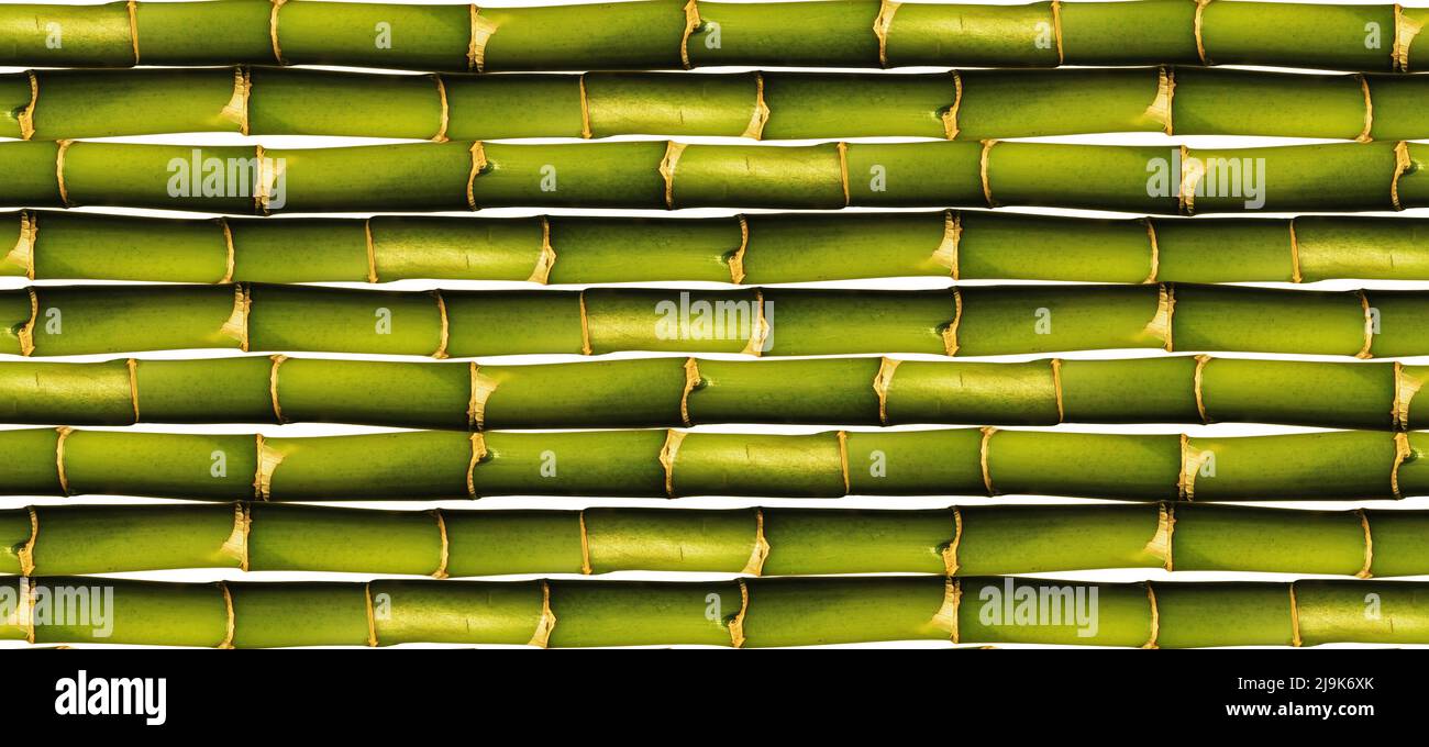 Green bamboo seamless wall and fence texture, green bamboo background ...