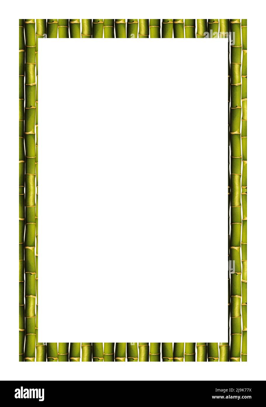 Rectangle empty wooden and green bamboo frame, isolated on white ...