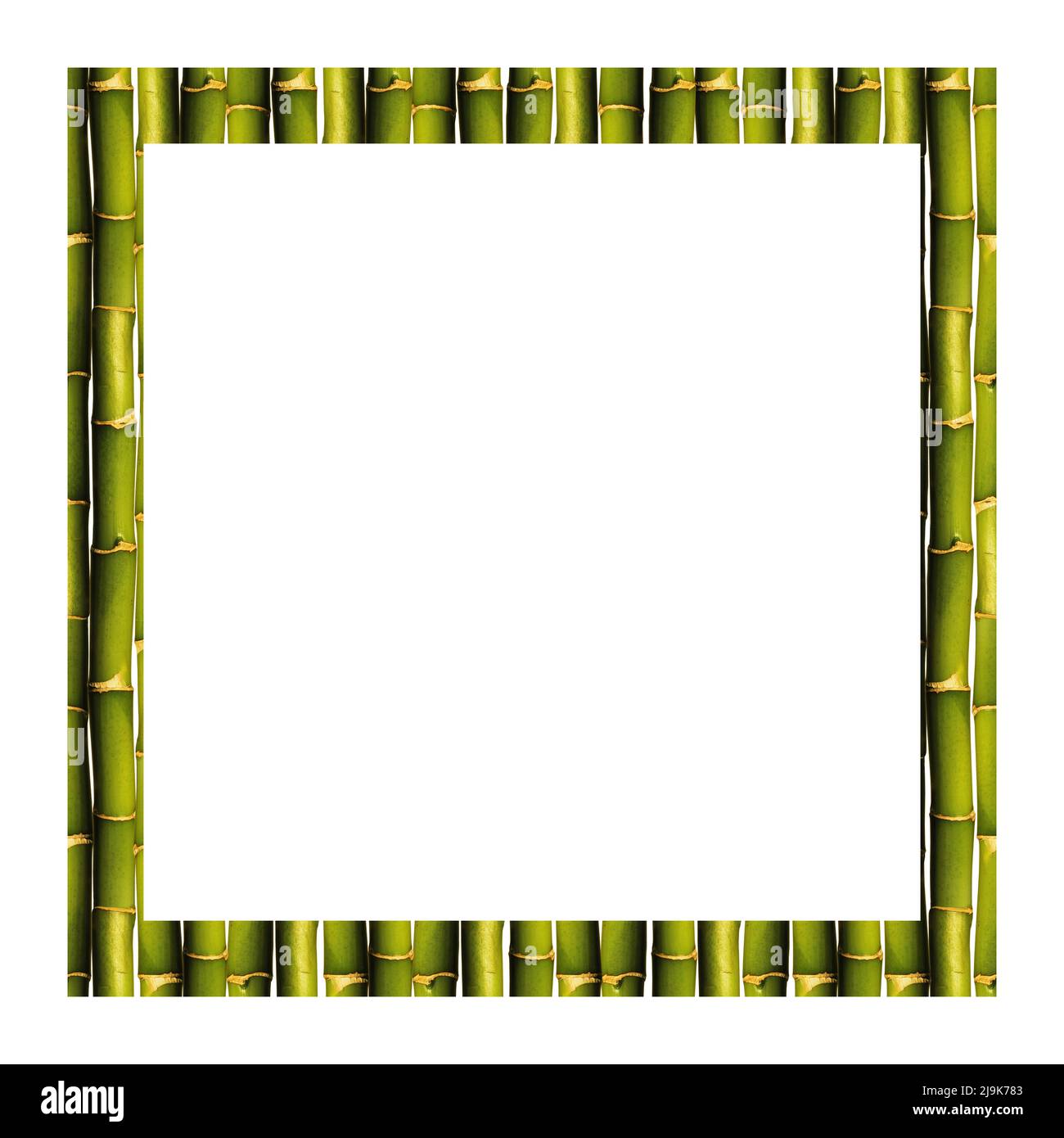 Green bamboo square a frame texture, green bamboo background Stock ...