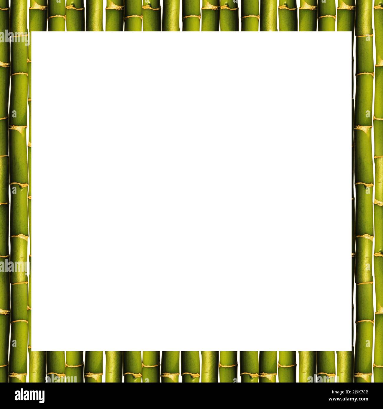 Green bamboo square a frame texture, green bamboo background Stock ...
