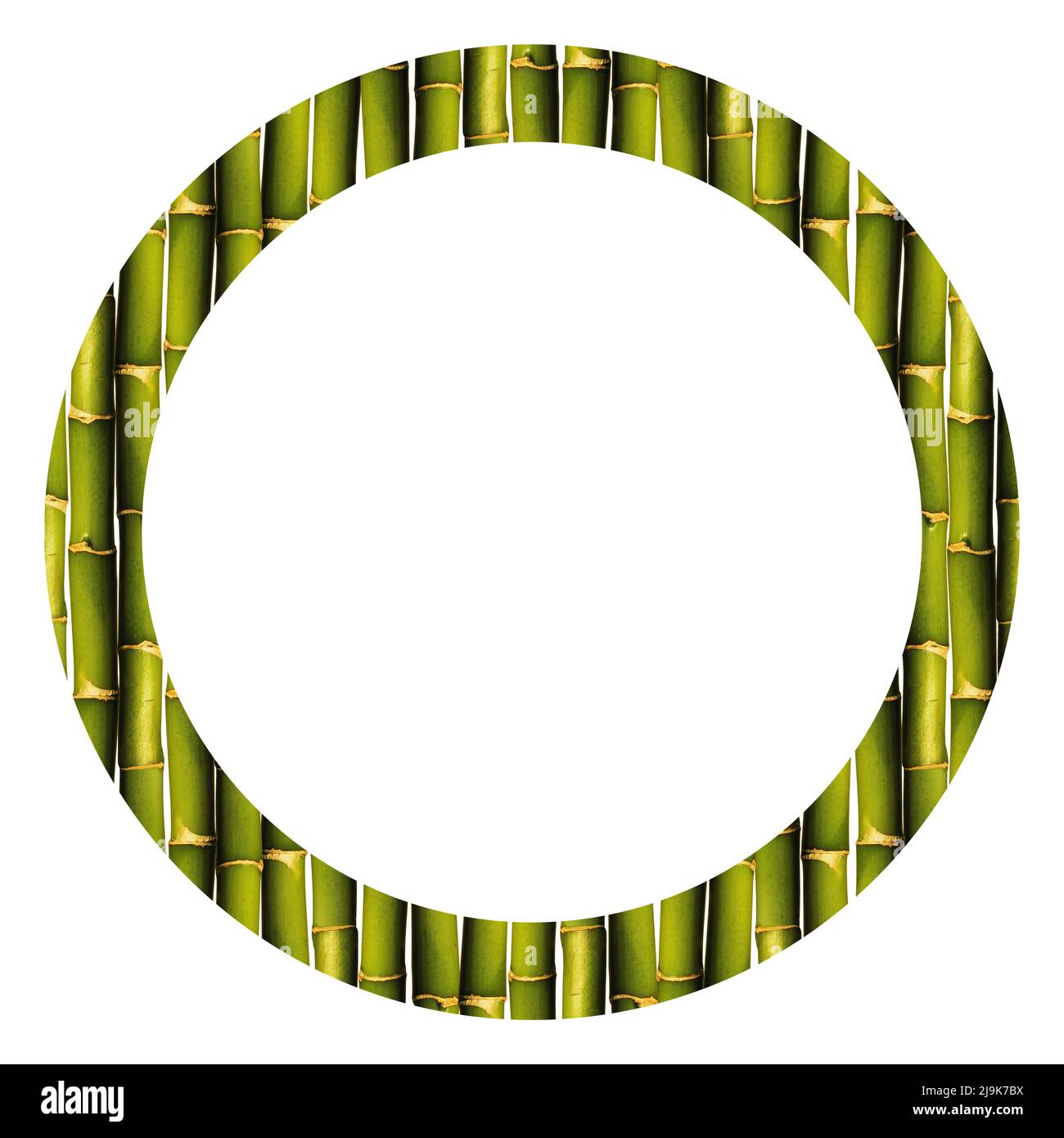 Green bamboo round frame texture, green bamboo frame background ...