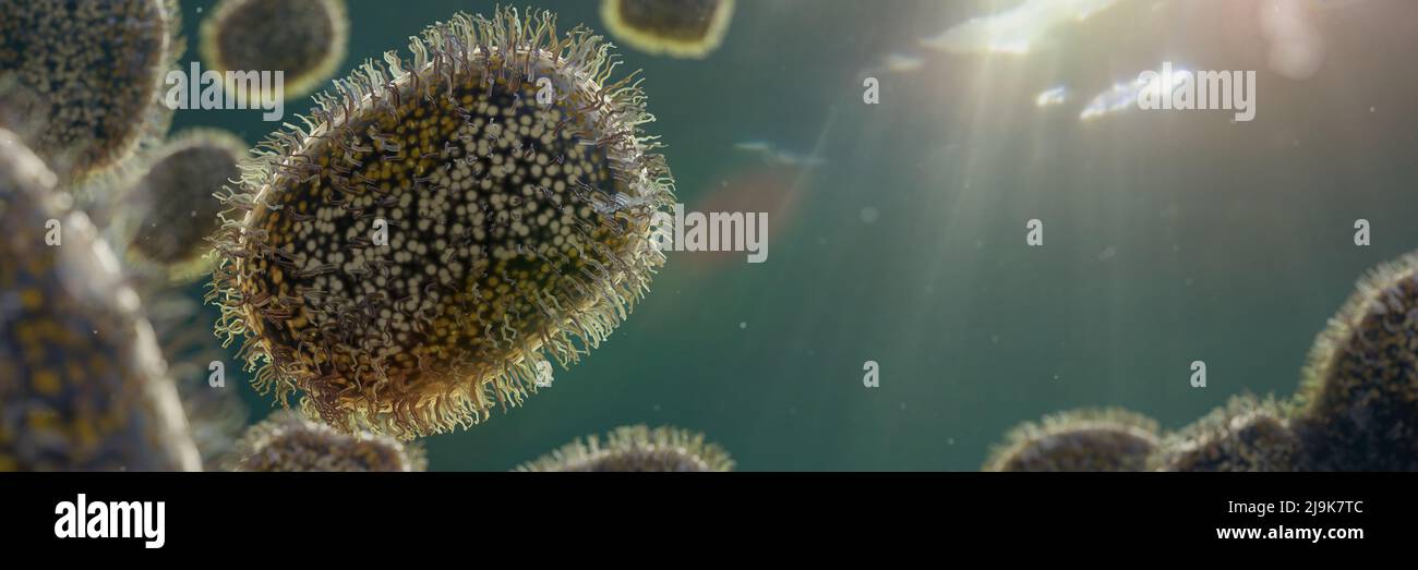 Monkeypox viruses, contagious microscopic pathogen closeup, infectious ...