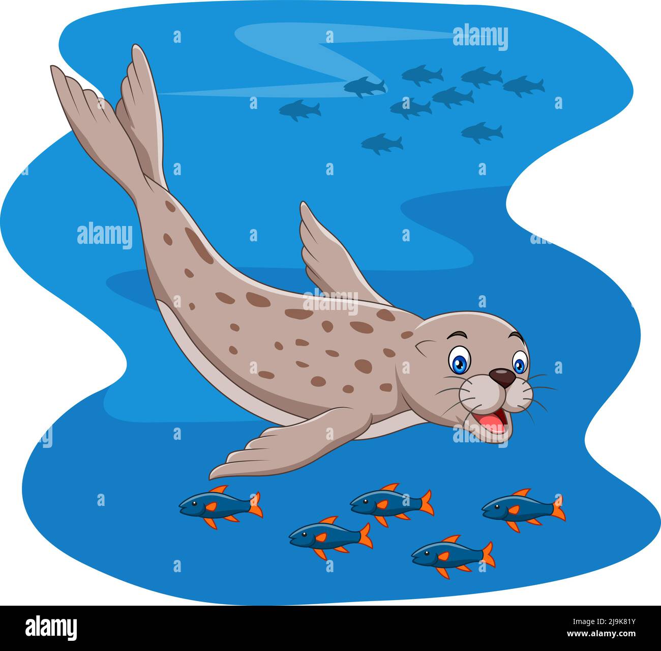 Seal Cartoon