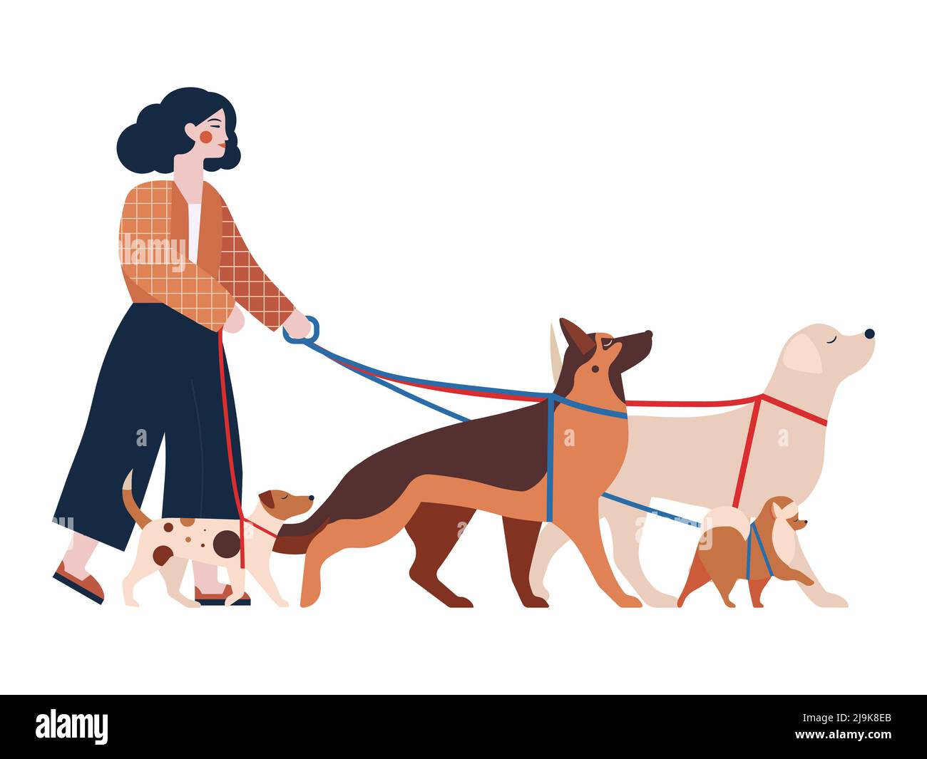 Happy dogs different breeds Cut Out Stock Images & Pictures - Alamy