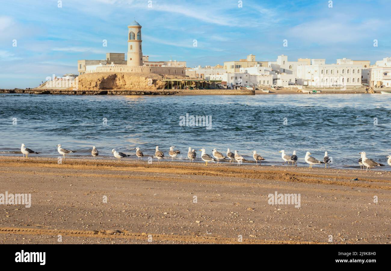 Sur, Oman - an important point for sailors and famous also for its ...