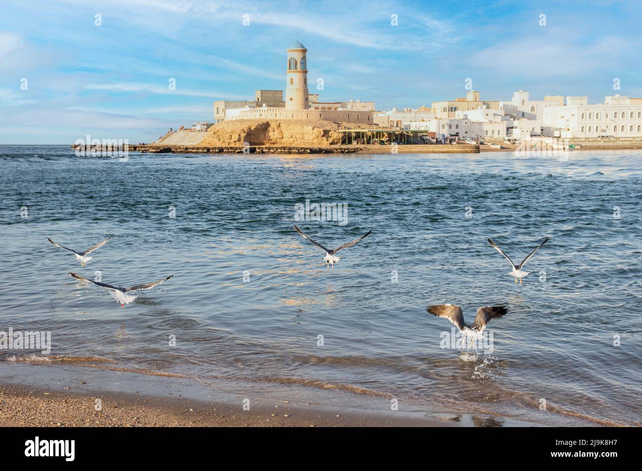 Sur, Oman - an important point for sailors and famous also for its ...