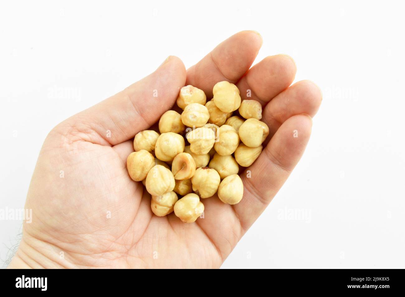 Pile of fresh organic roasted and peeled hazelnut kernels, on hand ...