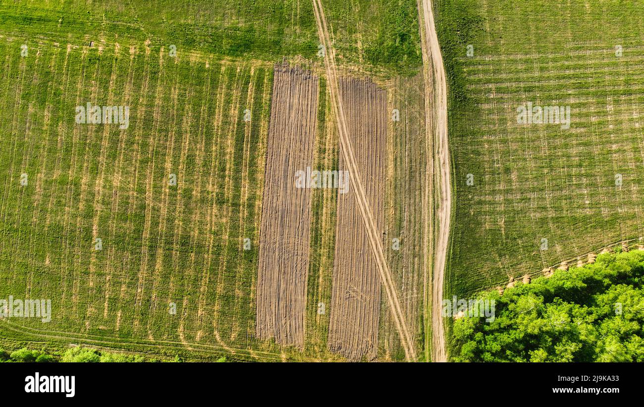 Aerial view of a land with sown fields in countryside. Landscape ...