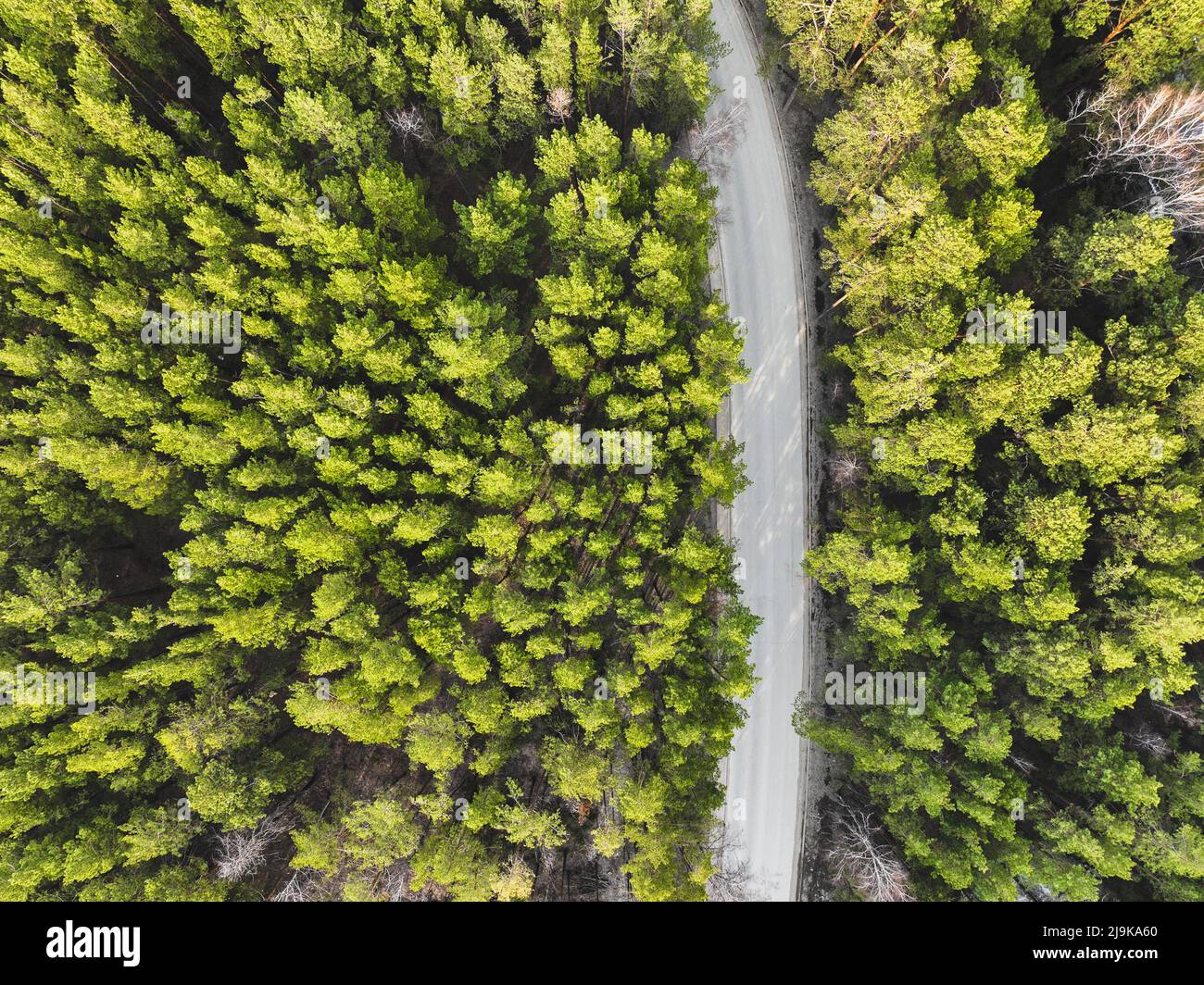 Aerial view green forest plantation hi-res stock photography and images ...
