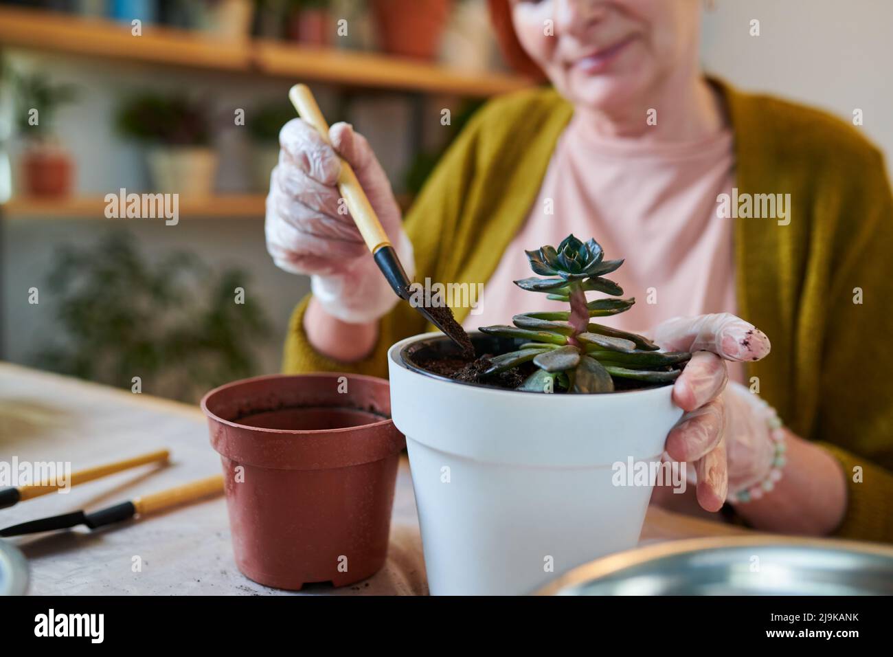 Gardening and leisure time activity hi-res stock photography and images ...