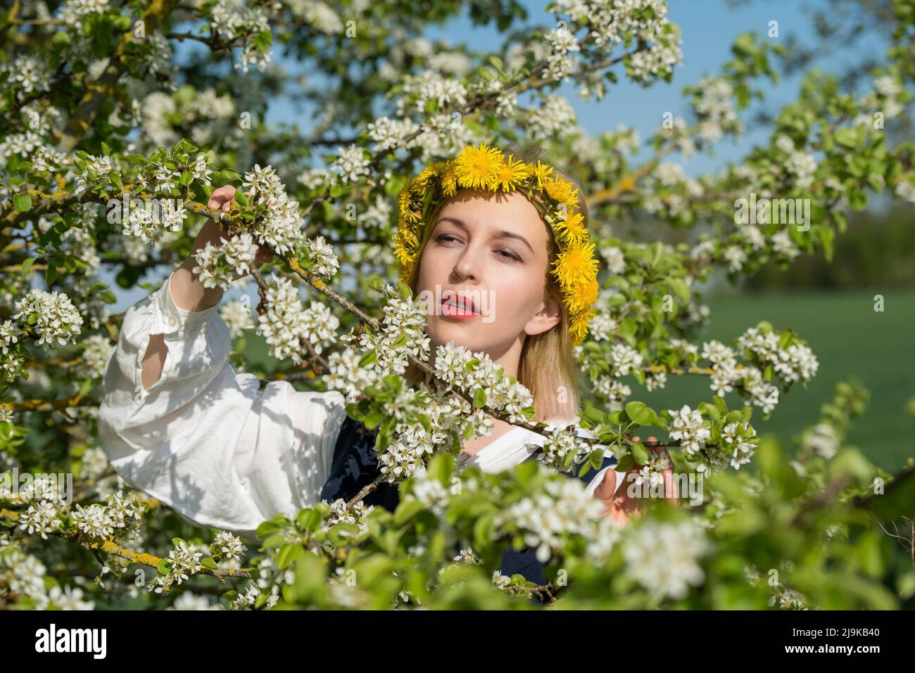 Latvian flowers hi-res stock photography and images - Alamy