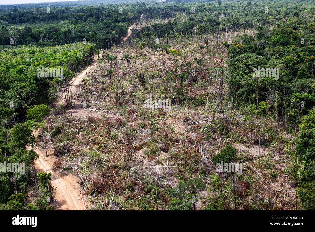 Amazon rainforest deforestation aerial hi-res stock photography and ...