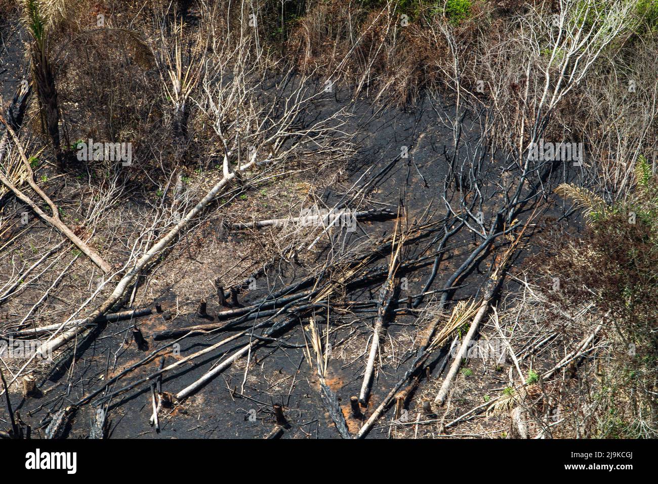 Deforestation of the Amazon rainforest. Patch of forest burnt to the ...