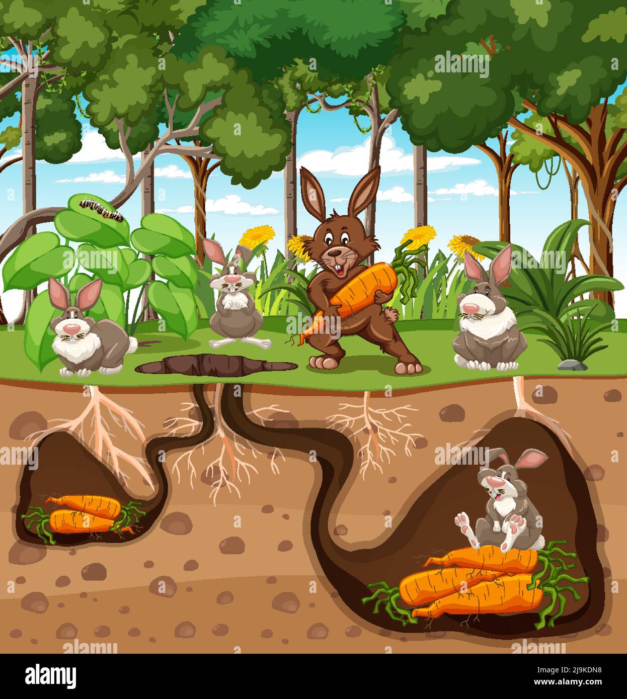 Underground animal hole in cartoon style illustration Stock Vector ...