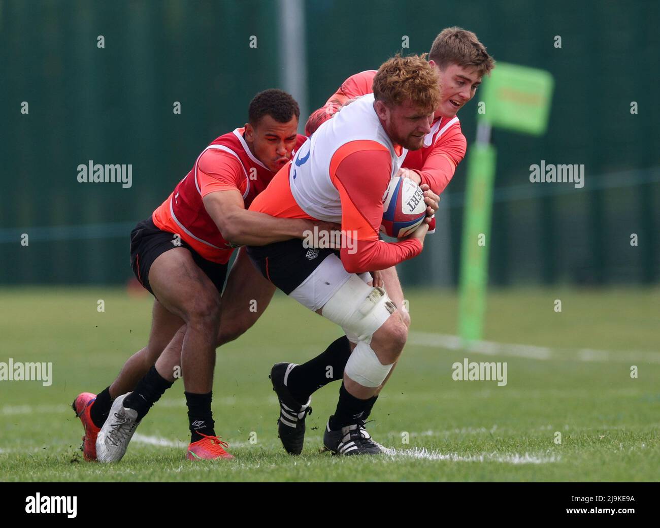 Ollie chessum hi-res stock photography and images - Alamy