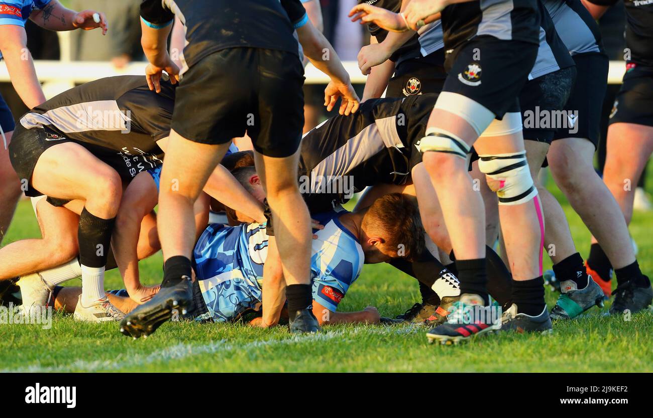 St Clears RFC Youth v Burryport RFC Youth plate final 2022 Stock Photo ...