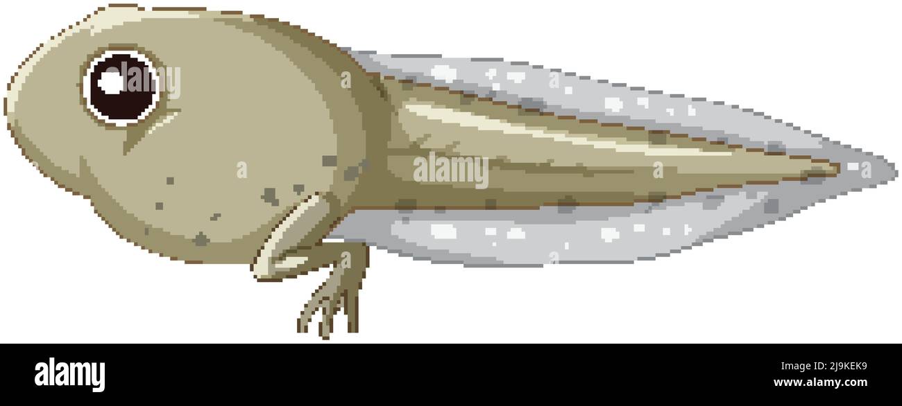 Tadpole With Hind Legs Drawing