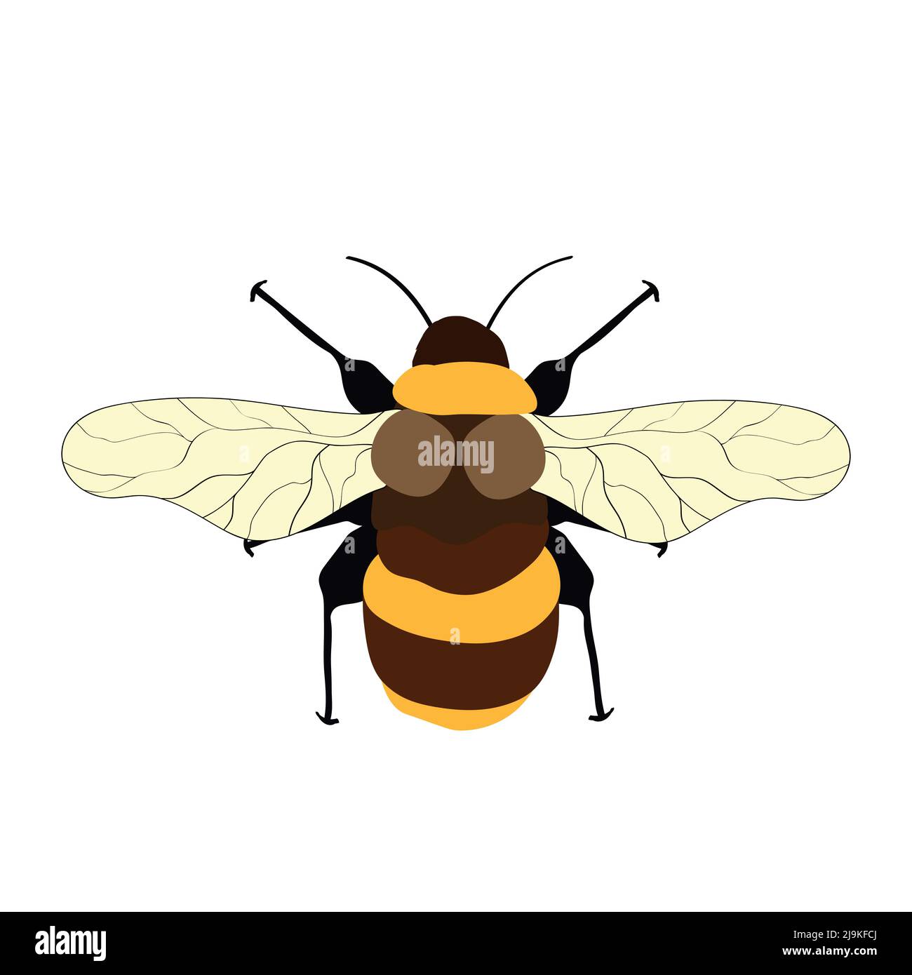Cartoon bee mascot. A small bees flies. Wasp collection. Vector ...