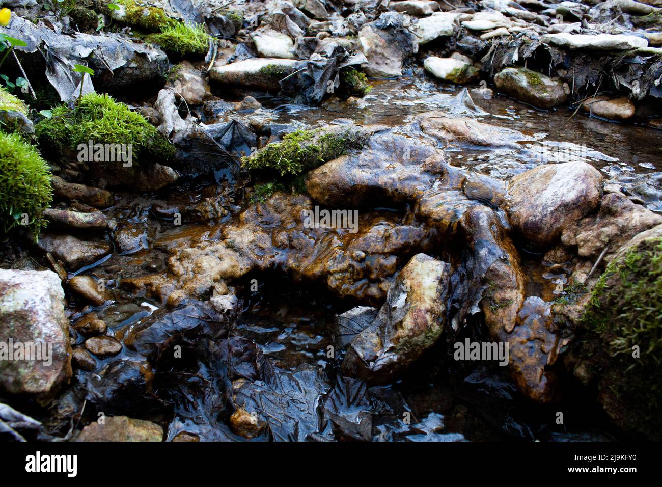 Natural Spring Stream Stock Photo - Alamy