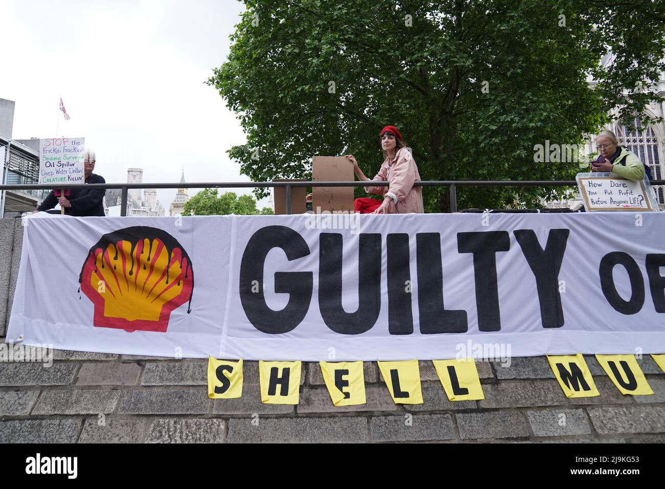 Demonstrators outside Central Hall, Westminster, London, as the ...
