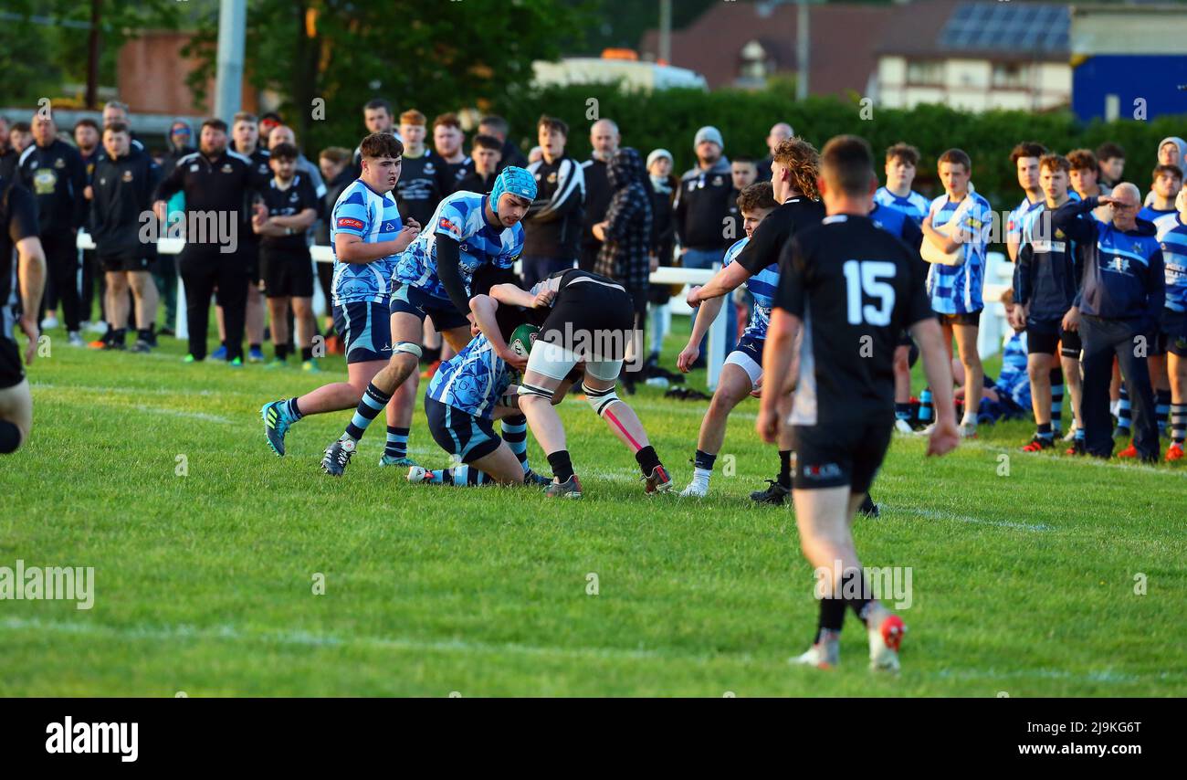 St Clears RFC Youth v Burryport RFC Youth plate final 2022 Stock Photo ...
