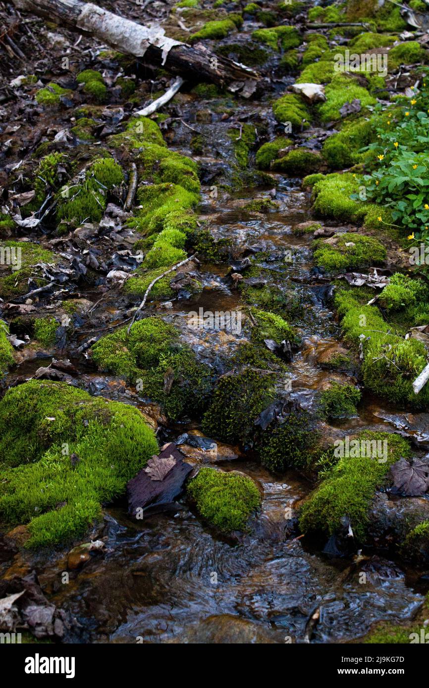 Vally spring hi-res stock photography and images - Alamy